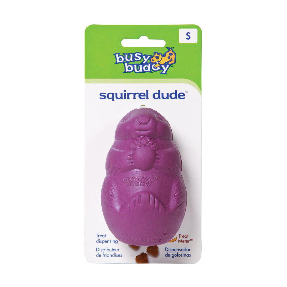 Busy Buddy Squirrel Dude – Dyr i Centrum